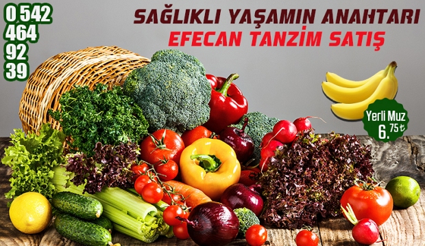 Sağlıklı Yaşamın Anahtarı Efecan Tanzim Satış - Akyazı Haber Akyazı'nın ... Sağlıklı Yaşamın Anahtarı Efecan Tanzim Satış - Akyazı Haber Akyazı'nın ...